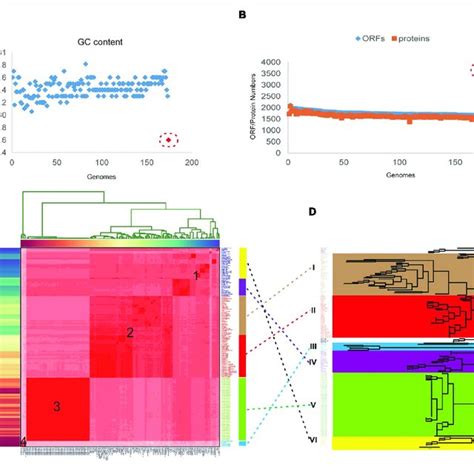 Taxonomic Classification Of Campylobacter Jejuni Based On Comparison