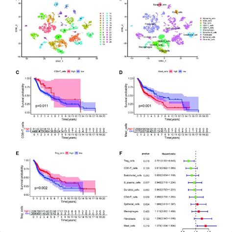 A The Heatmap Depicting Marker Genes Associated With Ten Cell
