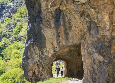 Pse Shëtitja Në Fshat E “zbut” Trurin Tonë Gazeta Dita