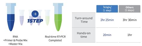 Bcr Abl Molecular Diagnostic Testing Medicon Hellas