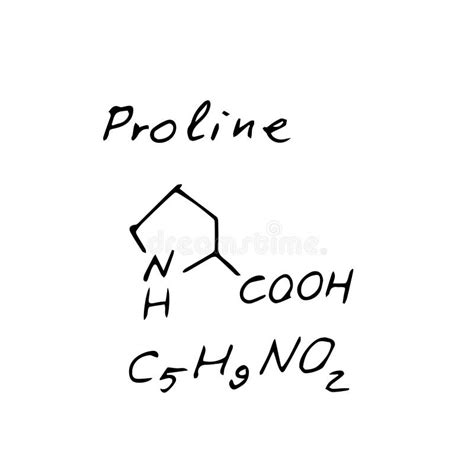 Proline C5h9no2 Molecule Formula Hand Drawn Imitation Of Proline Structural Model Stock