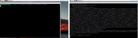 Identify Birds Through Sound With A Raspberry Pi Birdnet Pi Project