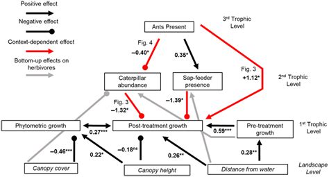 Accepted Model From Confirmatory Path Analysis Interaction Network