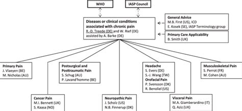 Organizational Chart Of Task Force Iasp And Who Interactions The Download Scientific Diagram