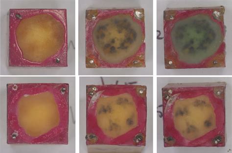 Figure 11 From Is Amalgam Stained Dentin A Proper Substrate For