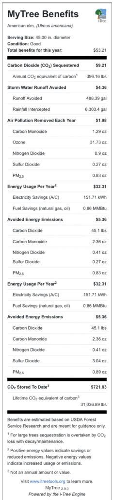 How To Calculate The Value Of A Tree A Pretty Happy Home