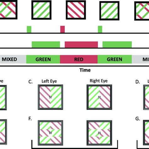 Experimental Design And Br Stimuli With Increasing Interocular Grouping