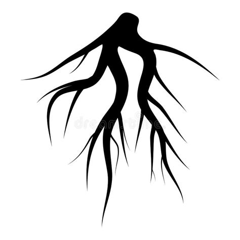 Root Plant Cartoon Vector Symbol Icon Design Beautiful Illustr Stock