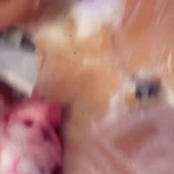 KM Porn Videos Photos EroMe