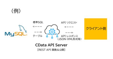 cdata 秋の味覚！api server のうま味とは！～5選～