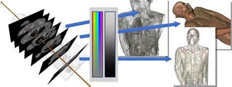 Generalized Direct Volume Rendering Dvr Principle The Color Values