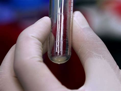 Video Reverse Yeast Two Hybrid System To Identify Mammalian Nuclear