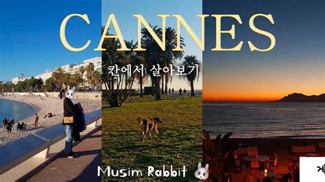 프랑스 칸에서 살아보기 빈티지 마켓 구경 명품 거리 해변가 산책 Cannes Vlog 칸 Ep2 Youtube