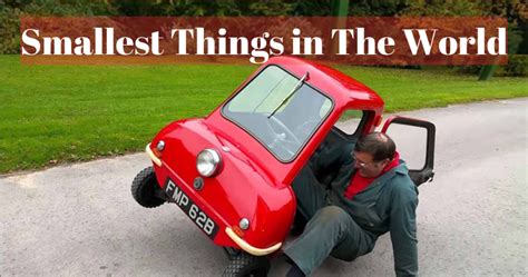12 Smallest Things In The World Invented And Natural Engineerine