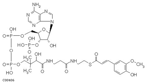 Lon Capa Kegg Dbget Result Ligand C00406