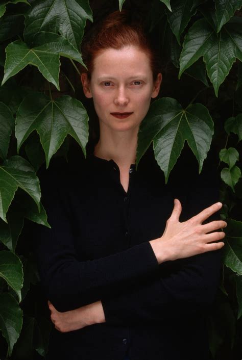 Tilda Swinton Home Life Wallpapers Hd
