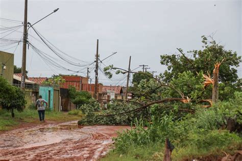 Parecendo “tornado” Temporal Destelha Casas Derruba Muro E árvore