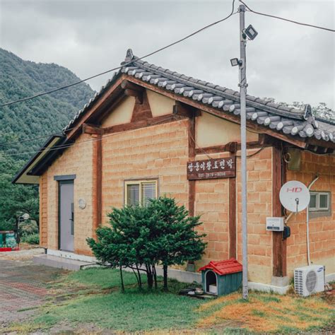 강원도 인제여행 ㅣ 쌍둥이 황토민박 1박 2일 인제 여행 숙소 인제 펜션 곰취도시락 네이버 블로그