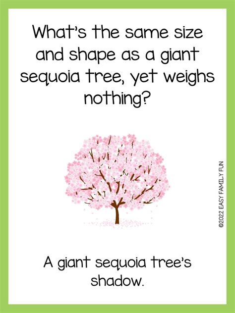 55 Best Tree Riddles With Answers