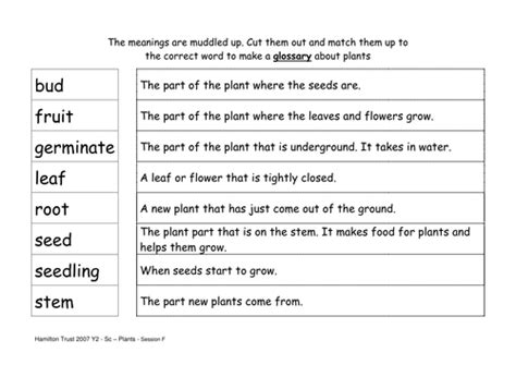 Collate Findings Teaching Resources