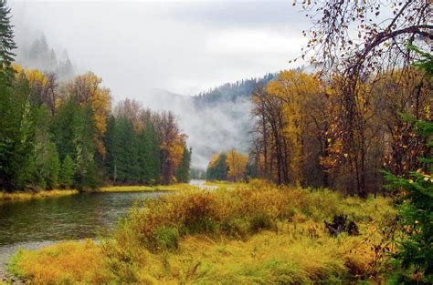 Fall Cda River 5 Photograph By Mike Wheeler Fine Art America
