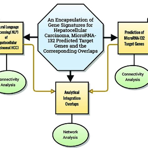 Flow Chart Of Bioinformatic Processes A Series Of Tasks I E Natural