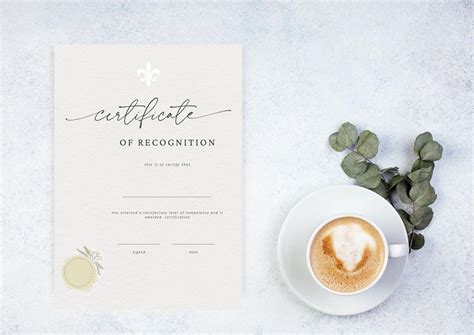 Custom Award Certificates Program Certificates Diploma Certificates