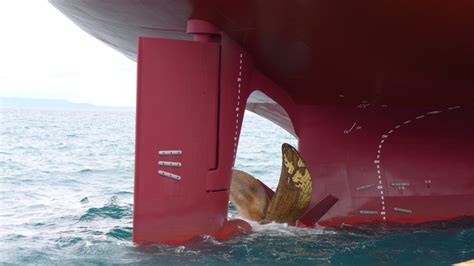 What Is An International Ballast Water Management Certificate Microwise