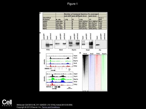 Volume 46 Issue 3 Pages May 2012 Ppt Download