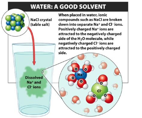 Functional Groups Flashcards Quizlet