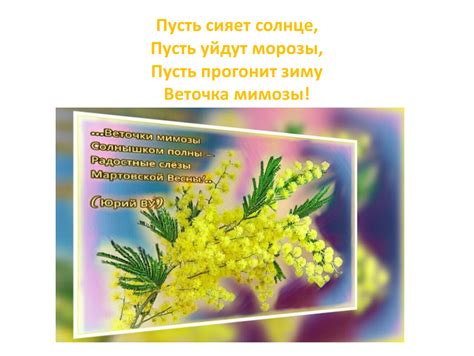 Мимоза