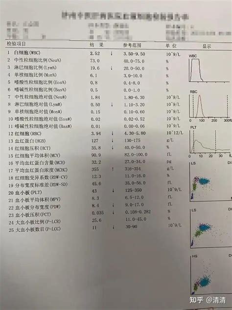 血常规结果怎么看 知乎