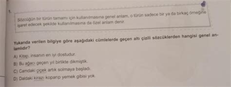 acil Sadece şık söyler misin Eodev