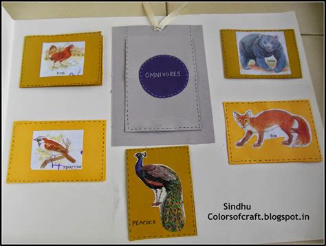 Colors Of My Crafty World Eating Habits Of Animals School Project