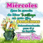 15 Imágenes de Feliz Miércoles BELLO Dia Te Mando Un Gran ABRAZO