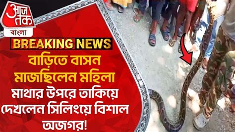 বাড়িতে বাসন মাজছিলেন মহিলা মাথার উপরে তাকিয়ে দেখলেন সিলিংয়ে বিশাল