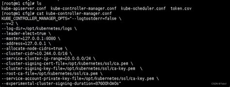 Kubernetes（2）k8s环境搭建：kubeadm安装、二进制方式安装二进制安装kubeadm、kubelet和kubectl Csdn博客