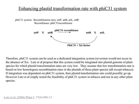 Recombination Based Transformation Technologies Ppt