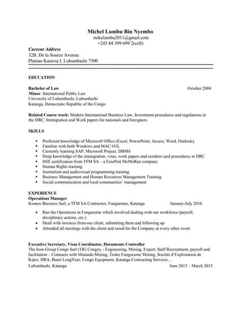 Ahmad Choubassi Cv Doc Business Business And Finance
