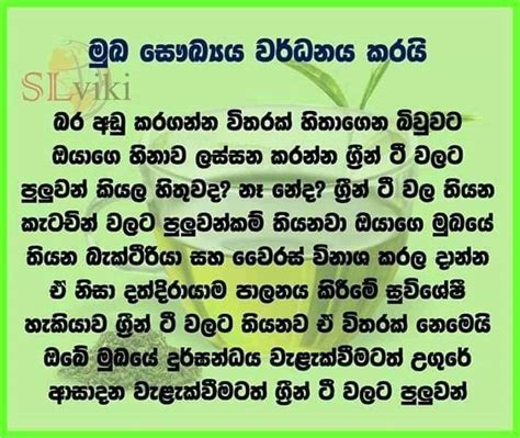 කඩදාසි කඩදාසි Added A New Photo