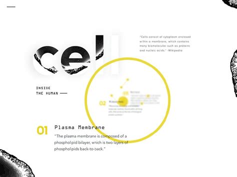 Ux Animations 11 Ux Republic Design Numérique Design Website Pdf