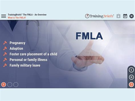 Trainingbriefs® The Fmla An Overview