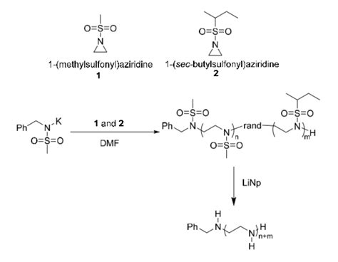 Living Anionic Ring Opening Copolymerization Of Two Different N Sulfonylaziridines To Form