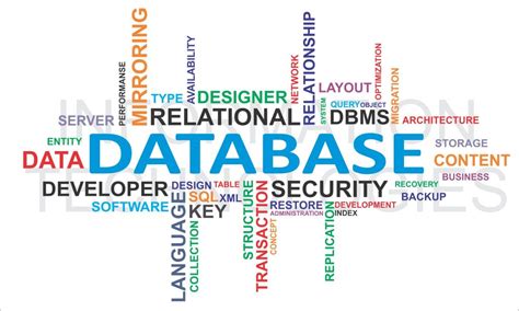 database vulnerability assessment e spin group