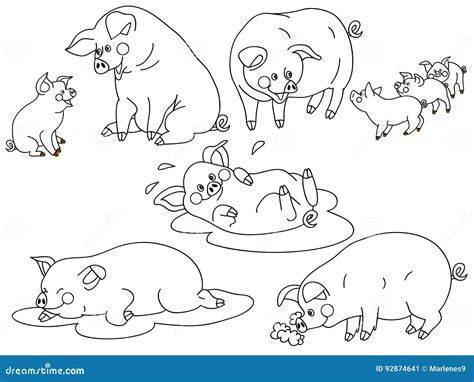 Pig Vector Set Stock Vector Illustration Of Smile Swine 92874641
