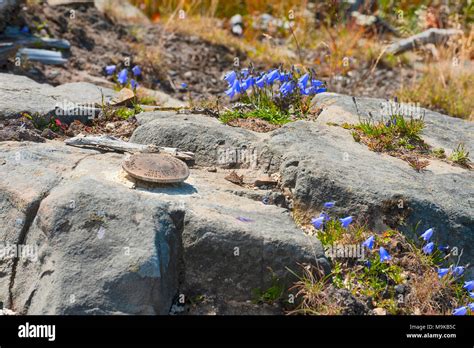 A Brass Disk Benchmark Is Located At The Top Of Castle Peak The Center