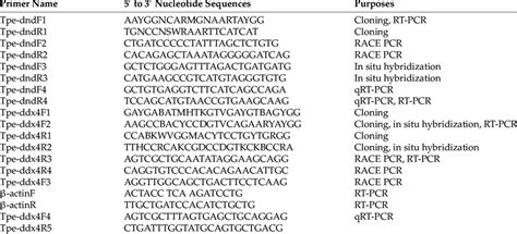 The Oligonucleotide Primers Used In This Study Download Scientific