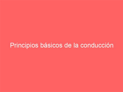 Principios Básicos De La Conducción Mindu