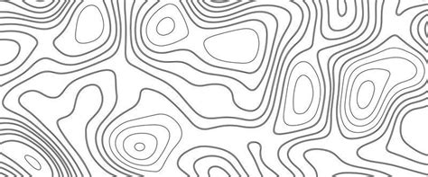 Contour Lines Vector