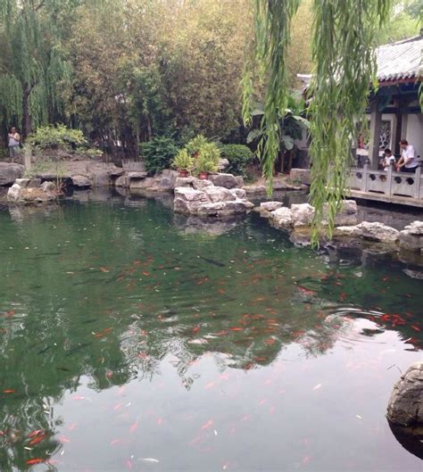 小泉眼简笔画 简单的泉水怎么画 泉眼怎么画 大山谷图库